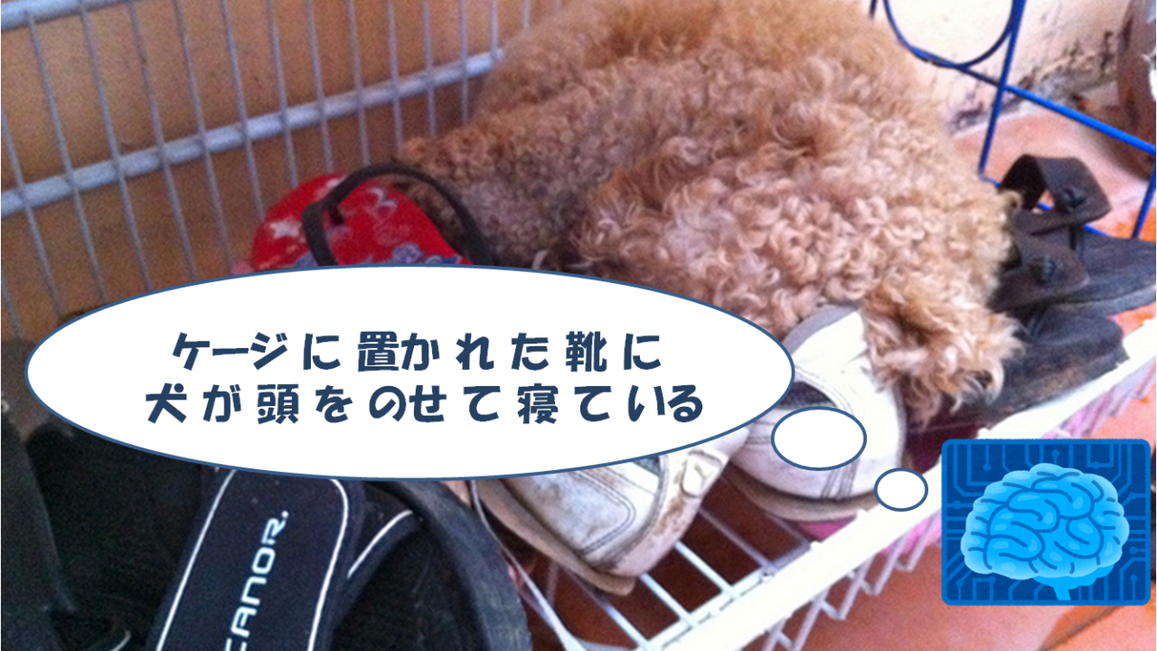 決定木とランダムフォレストによるデータ分類｜P-Chun Labo